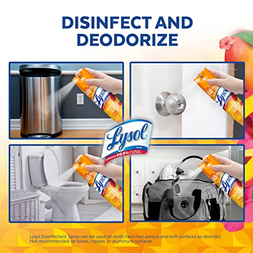 Lysol Disinfectant Spray, Sanitizing and Antibacterial Spray, For Disinfecting and Deodorizing, Mango & Hibiscus Scent, 19 Fl Oz, (Packaging May Vary)