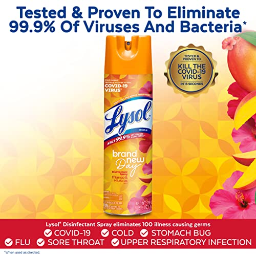 Lysol Disinfectant Spray, Sanitizing and Antibacterial Spray, For Disinfecting and Deodorizing, Mango & Hibiscus Scent, 19 Fl Oz, (Packaging May Vary)