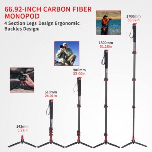 Avella C324D Carbon Fiber 67 Inch Camera Monopod Professional Telescopic Video Monopods Base Tripod for Canon Nikon Sony Olympus Panasonic DSLR Camera