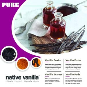 Native Vanilla Grade B Tahitian Vanilla Beans – 10 Total Premium Extract Whole Pods – For Chefs and Home Baking, Cooking & Extract Making – Homemade Vanilla Extract