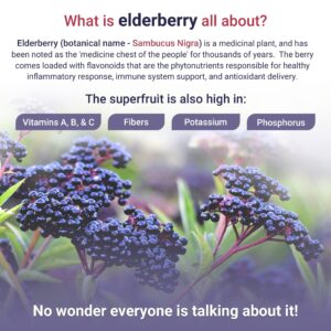 Certified USDA - 100% Organic Dried Elderberries - 1lb Bulk - Non-Irradiated, Non-Gmo, Whole Black Elderberry Immune Support For Making Elder Syrup, Gummies, Tea - Raw Vegan Sambucus 1 Pound