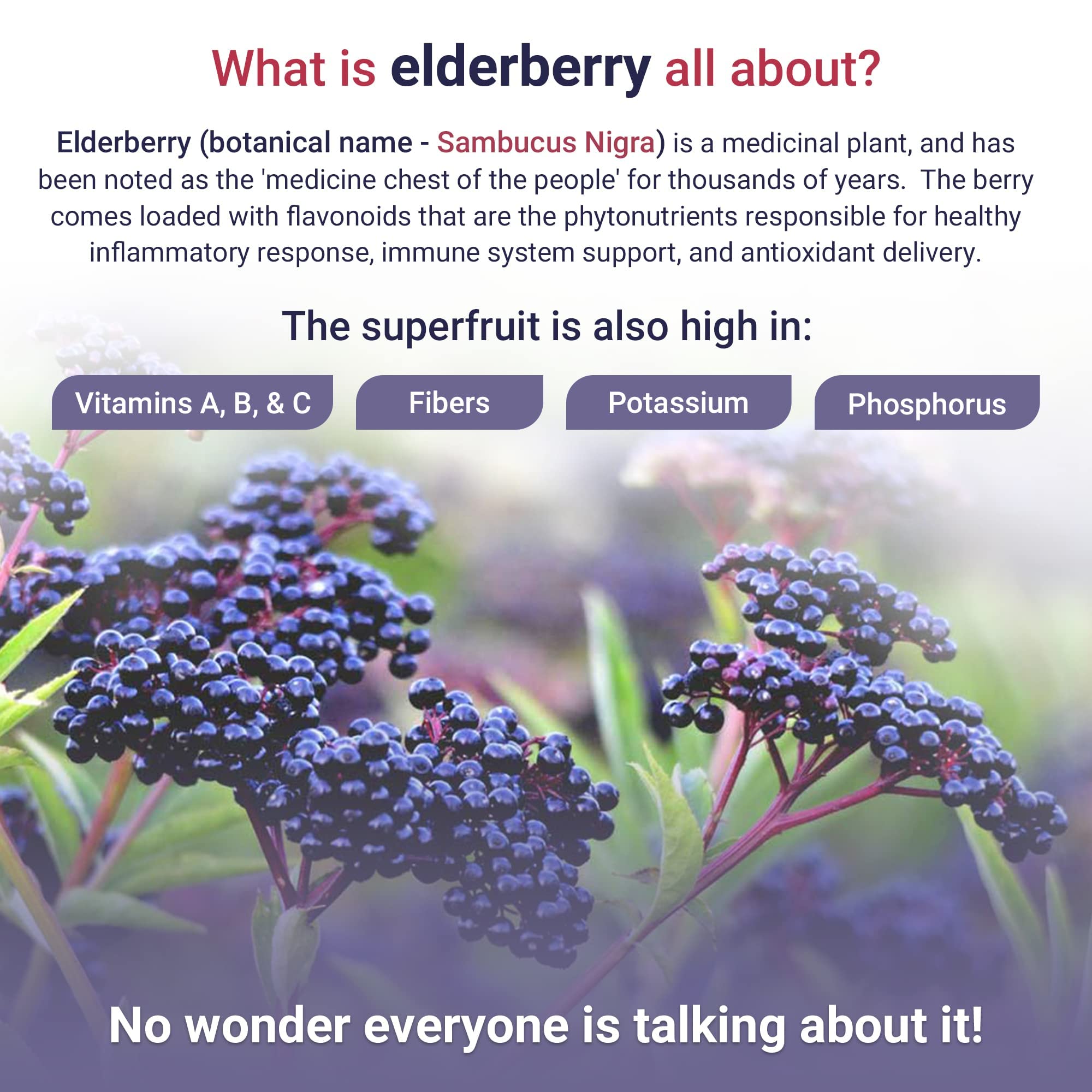 Certified USDA - 100% Organic Dried Elderberries - 1lb Bulk - Non-Irradiated, Non-Gmo, Whole Black Elderberry Immune Support For Making Elder Syrup, Gummies, Tea - Raw Vegan Sambucus 1 Pound