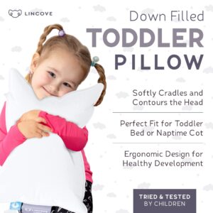 Lincove Canadian Down Toddler Pillow for Sleeping - Perfect for Kids Travel Pillow, Nap Time, Toddler Cot, Crib, Bed - 800 Fill Power, 100% Cotton Shell, 400 Thread Count (13 x 18)