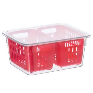 oggi 5170 berry bin - double basket, red