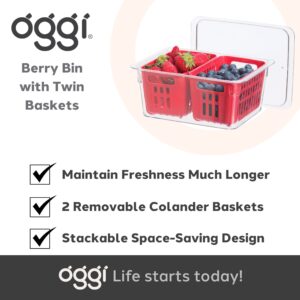 Oggi 5170 Berry Bin - Double Basket, Red