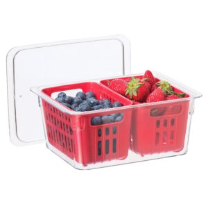 Oggi 5170 Berry Bin - Double Basket, Red