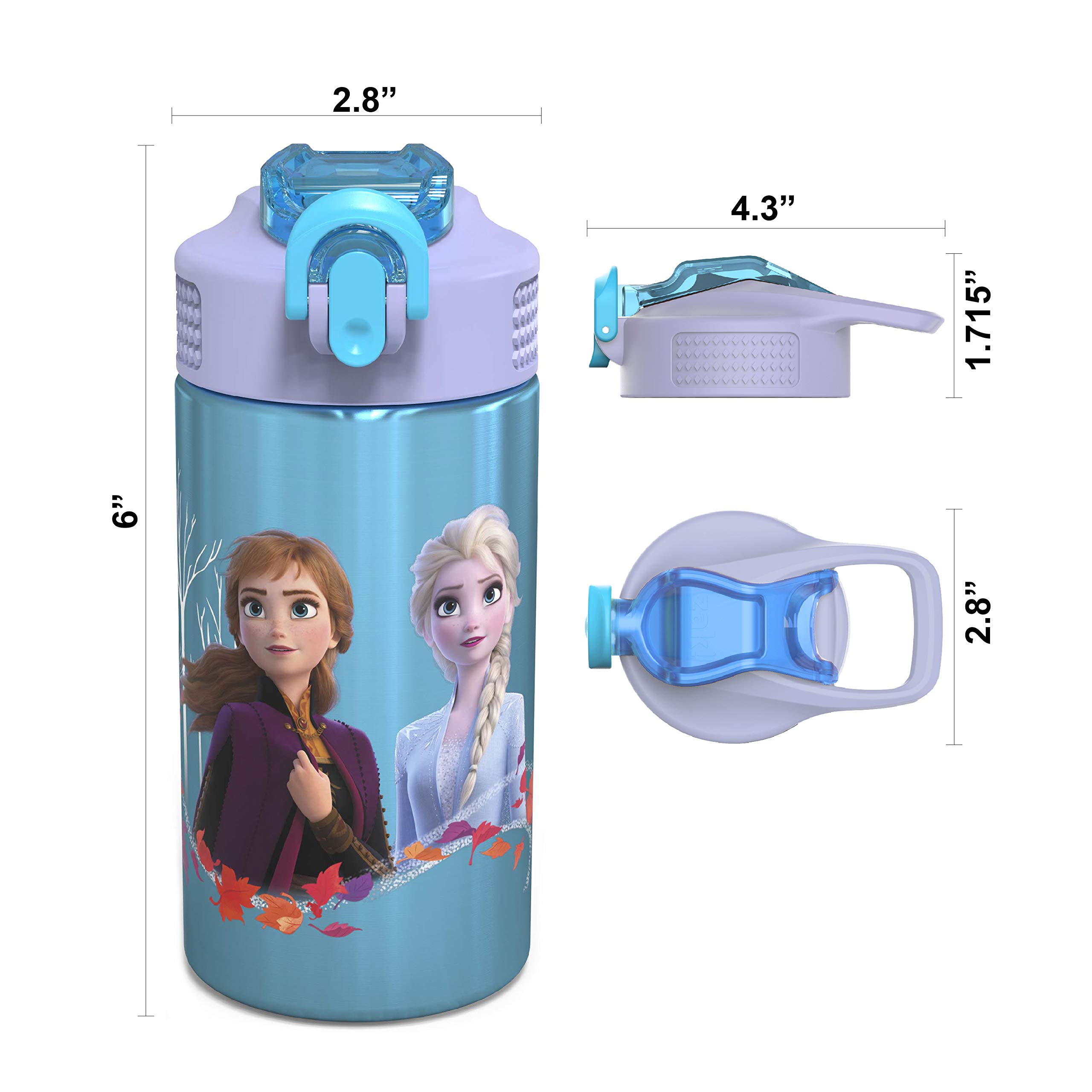 Zak Designs Disney Frozen 2 Kids Water Bottle Set with Reusable Straws and Built in Carrying Loops, Made of Durable Stainless Steel & Plastic, Leak-Proof Bottle Design (Elsa/Anna, BPA-Free, 2pc Set)