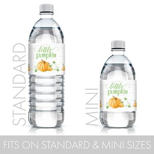 Orange Little Pumpkin Baby Shower Water Bottle Labels - Autumn Waterproof Bottle Wrappers - 24 Count - Fall Unisex Pumpkin Patch Theme