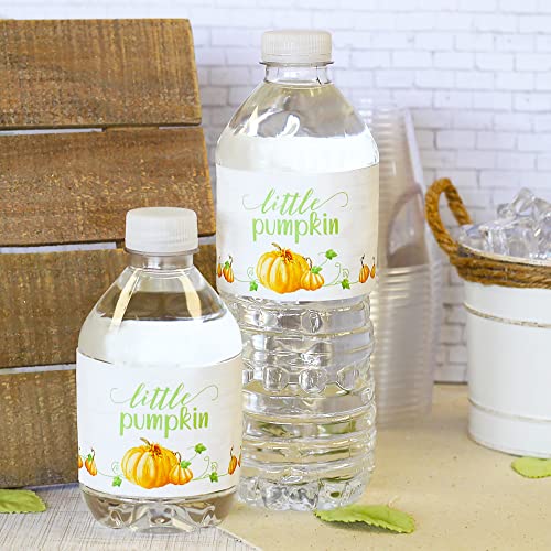 Orange Little Pumpkin Baby Shower Water Bottle Labels - Autumn Waterproof Bottle Wrappers - 24 Count - Fall Unisex Pumpkin Patch Theme