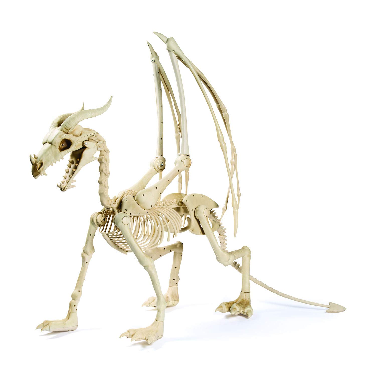 Fun Express 36" Dragon Skeleton Halloween Decoration