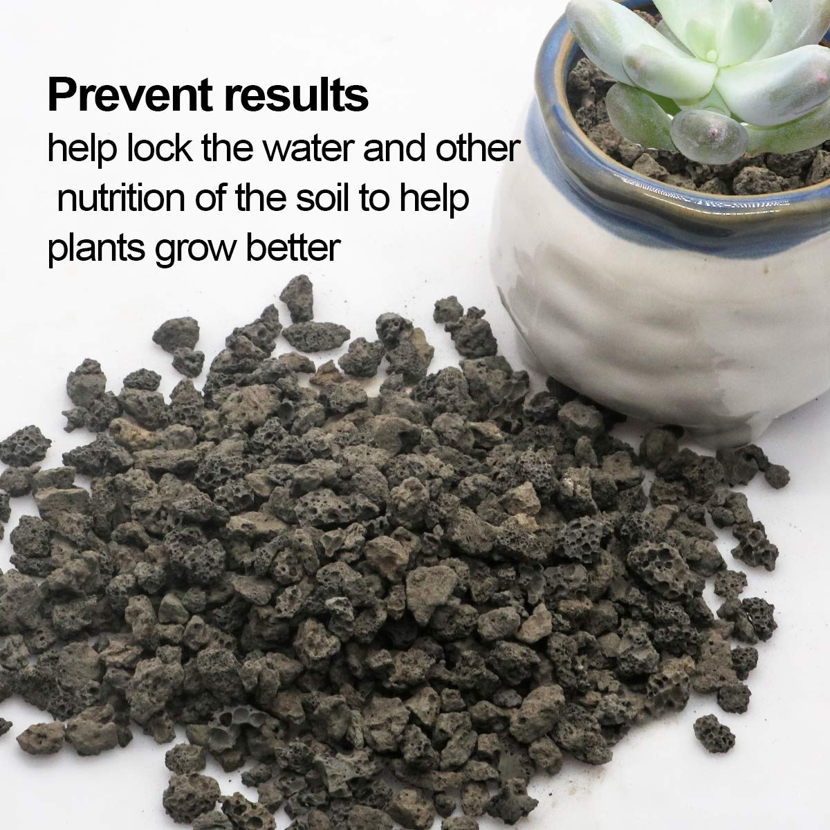 TOYPOPOR Black Horticultural Lava Rock Soil Additive for Cacti Succulents Plants No Dyes or Chemicals 100% Pure Volcanic Rock 2.2LB Top Dressing