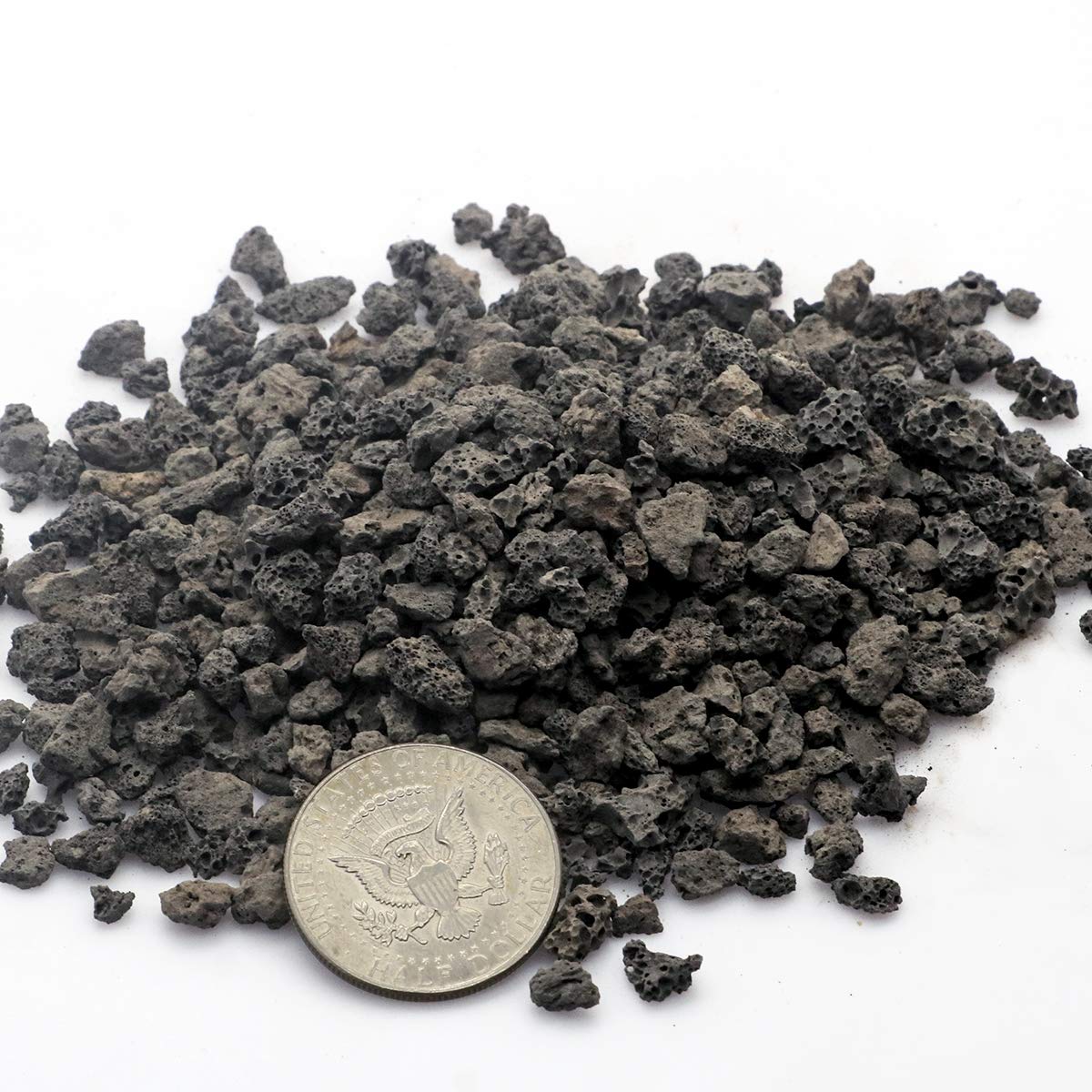 TOYPOPOR Black Horticultural Lava Rock Soil Additive for Cacti Succulents Plants No Dyes or Chemicals 100% Pure Volcanic Rock 2.2LB Top Dressing