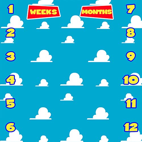 F-FUN SOUL Blue Sky White Clouds Baby Monthly Milestone Blanket 40x40in Nursery Blanket Baby Shower Age Growth Tracker with Bonus Marker LHFS981