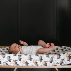 Premium Knit Diaper Changing Pad Cover"Bison" by Copper Pearl