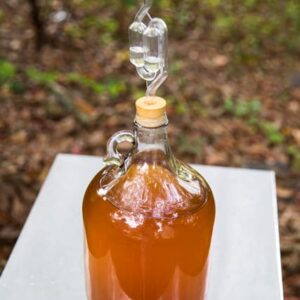 Mead Making Kit by Must Bee- 1 Gallon Reusable Fermentation Kit to Make Honey Wine