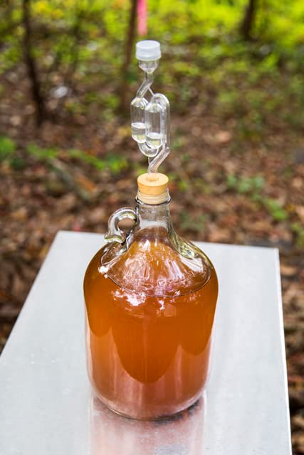 Mead Making Kit by Must Bee- 1 Gallon Reusable Fermentation Kit to Make Honey Wine