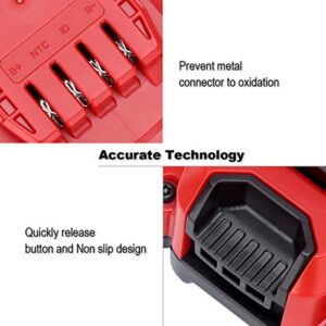 Biswaye 20V MAX Battery CMCB202 Replacement for Craftsman V20 Lithium Ion Battery CMCB204 CMCB202 CMCB201 (for All V20* Cordless Tools) CMCS300B CMCG400B CMCB104 CMCK700D2 CMCD700C1 CMCS714M1 CMCL030B