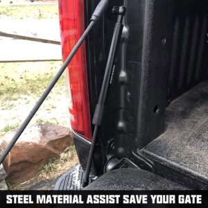 Winunite Compatible with F150 2015-2023 Tailgate Assist Shock Truck Lift Assist for F150 Pickup Tailgate Soft Open Easy Down Easy Lift(All Tools Provided)