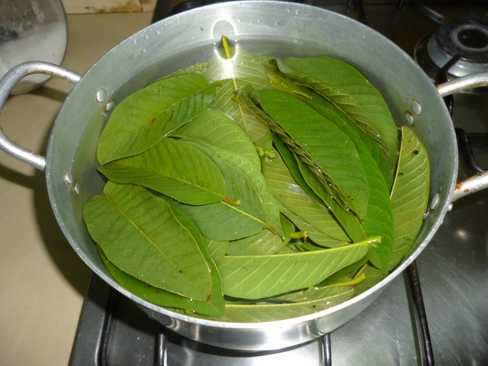 Fresh Guava Leaves from Trees Grown in South Florida - 1 oz (Approx. 10 to 25 Leaves) - No pesticides or Chemical Sprays / No Reimbursement or Return