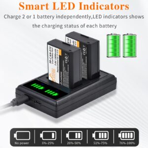 LP-E10 LPE10 Battery and LED USB Dual Charger with Type C Port Replacement for Canon EOS Rebel T6 T5 T7 T3 EOS 1200D 1100D 1300D 1500D 2000D 3000D Rebel KISS X50 X70 X80 X90