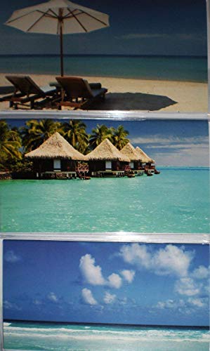 2024-2025 Tropical Two Year Pocket Planners - Set of 3