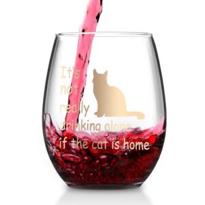 GINGPROUS It's Not Really Drinking Alone if the Cat is Home Stemless Wine Glass, Funny Cat Lover Wine Glass for Women Cat Lady Friends Sisters Mom Grandma, Wine Glass for Birthday Christmas, 15 Oz