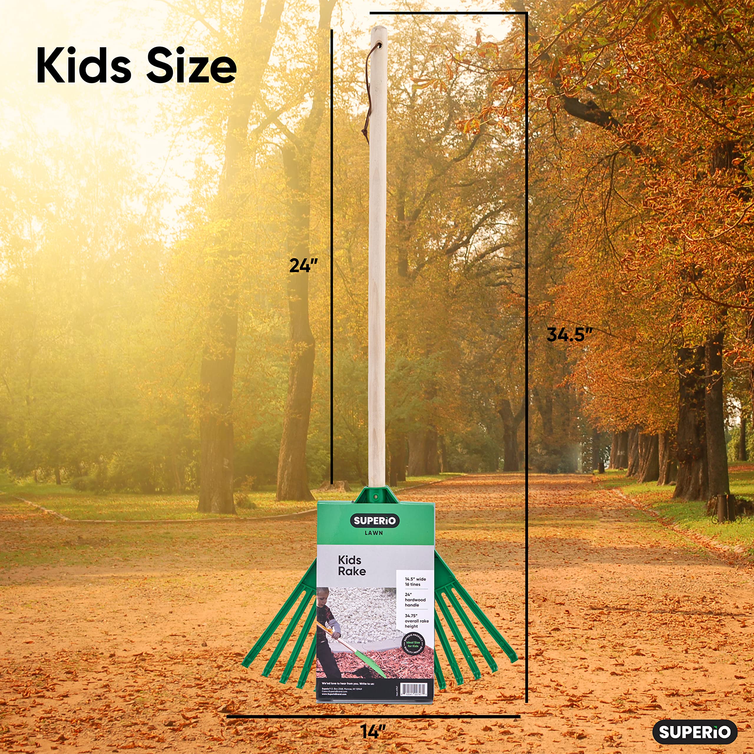 Superio Kids Rake with Hardwood Handle, Gardening and Lawn Care Tools for Kids, Sweep Leaves and Tidying Up The Garden, Plastic Tines and Heavy Duty Wooden Handle 34" (Kid Size, Green, 1-Pack)