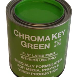 ChromaKey Video Paint 1 Quart Green Screen Equivalent