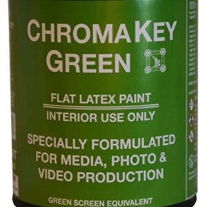 ChromaKey Video Paint 1 Quart Green Screen Equivalent