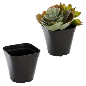 Juvale 150-Pack 2 Inch Plastic Seedling Pots for Plants, Small Square Starter Nursery Planters for Starting Seeds, Flowers, Succulents, Propagating, Indoor Garden (Black)