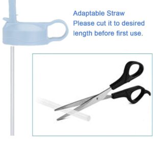 Top Souls Wide Mouth Straw Lids Compatible with Most Sports Water Bottles, 2 Lids 2 Long Straws 2 Brushes in 1 Value Pack. (Frost/Black)