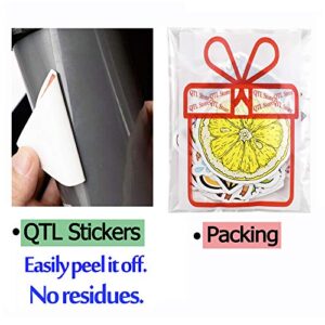 QTL VSCO Stickers for Teen Girls Cute Stickers for Hydroflask Waterproof Stickers for Tween Girls Laptop Stickers for Teen Girls Stickers Packs Gifts for Teens 50Pcs