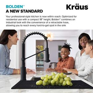 Kraus KPF-1610SFS Bolden 18-Inch Commercial Kitchen Faucet with Dual Function Pull-Down Sprayhead in all-Brite Finish, Spot Free Stainless Steel