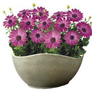 Classic Home and Garden Arc Pot 12" - Stone