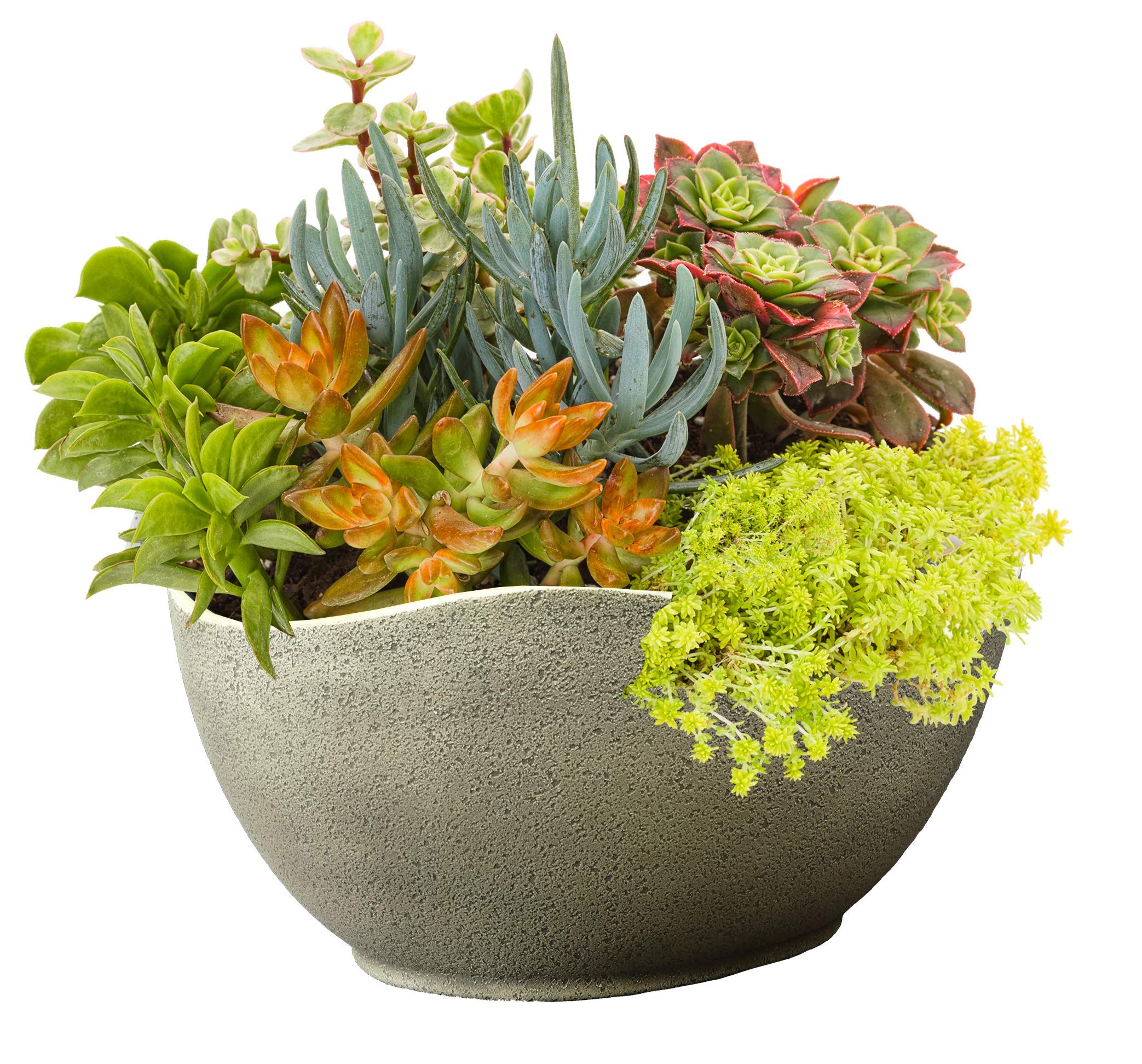 Classic Home and Garden Arc Pot 12" - Stone