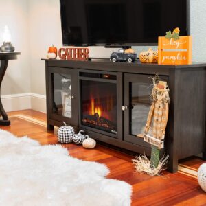 e-Flame USA Montana 19"x18" LED Electric Fireplace Stove Insert with Remote - 3D Logs and Fire (Black)