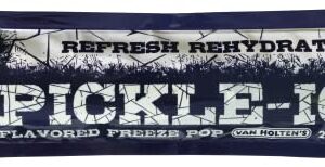 Van Holten's Pickles - Pickle-Ice Freeze Pops - 24 Pack