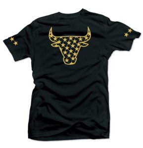 jordan 6 dmp defining moments match tees (jordan 6 dmp defining moments - bull stars shirt (black), 4xl)