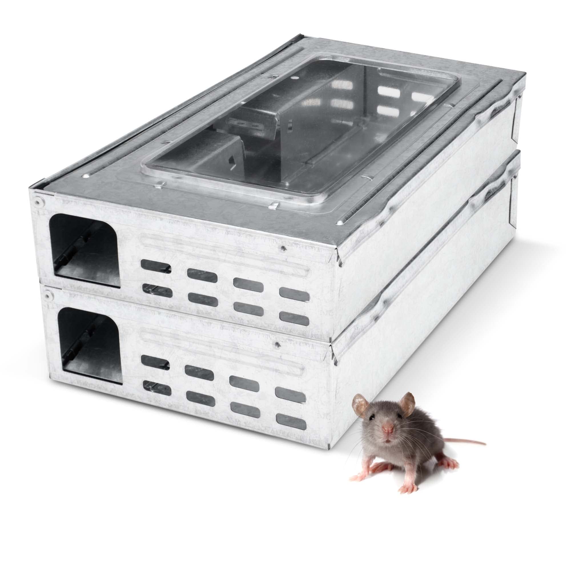 Tin Cat Multi-Catch and Release Humane Live Mouse Trap with Clear Window Lid for Indoor Outdoor Use | Sold by Canadian Supplier Local Pest Control (2 Pack)