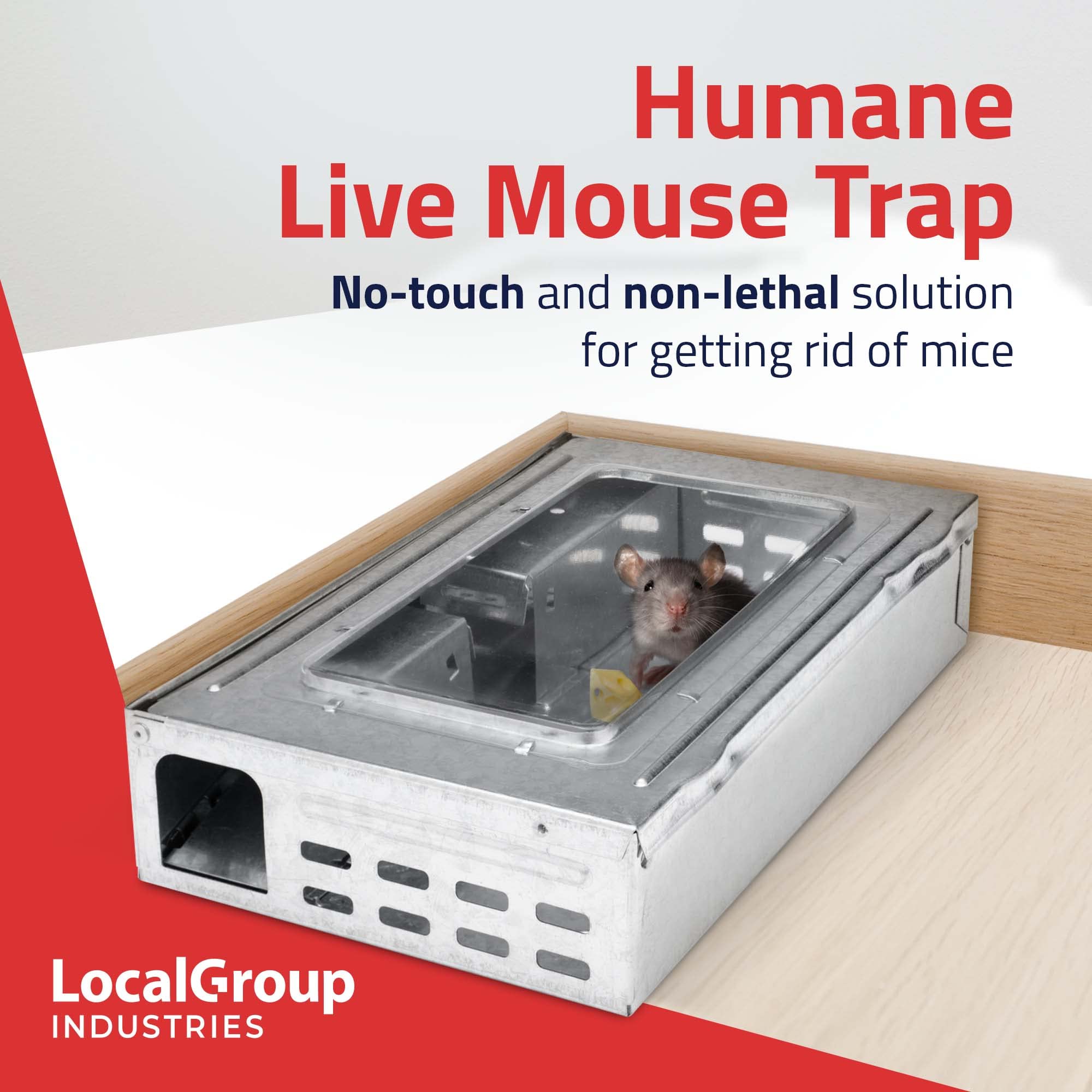 Tin Cat Multi-Catch and Release Humane Live Mouse Trap with Clear Window Lid for Indoor Outdoor Use | Sold by Canadian Supplier Local Pest Control (2 Pack)