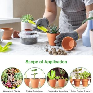 FAMILY 20Pack 3 inch Terra Cotta Color Solid Clay Indoor Mini Flower Pots