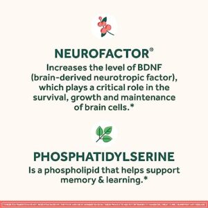 NEURIVA Brain Supplement for Memory & Focus with Phosphatidylserine & Neurofactor, Caffeine-Free Gummies