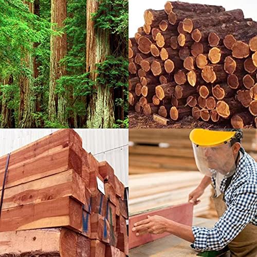 Homode Cedar Blocks, Cedar Hang Ups for Clothes Storage, Cedar Sachets for for Closets and Drawers, Fresh Scent Ceder Wood, 18 Pack