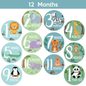 Baby Monthly Stickers | Zoo Animals Baby Milestone Stickers | Jungle Newborn Boy or Girl Stickers | Month Stickers for Baby Boy | Gender Neutral | Unisex Safari Newborn Monthly Milestones (Set of 24)