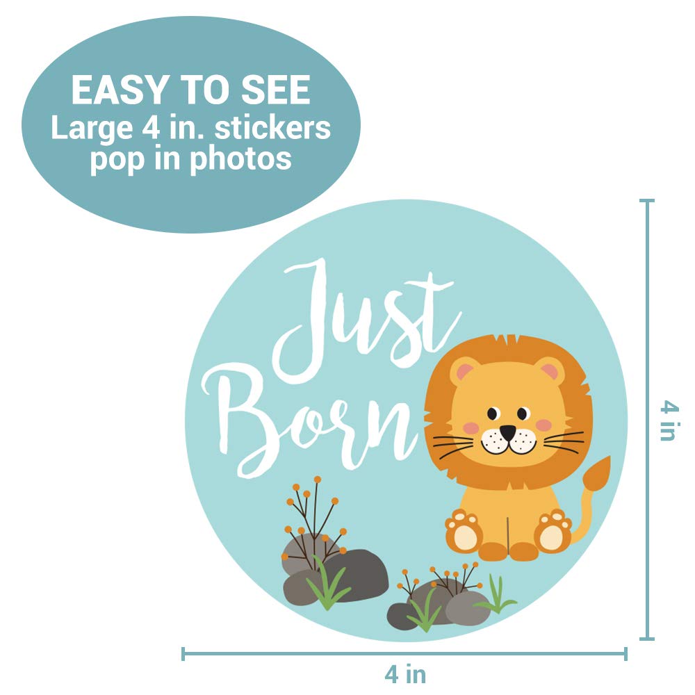 Baby Monthly Stickers | Zoo Animals Baby Milestone Stickers | Jungle Newborn Boy or Girl Stickers | Month Stickers for Baby Boy | Gender Neutral | Unisex Safari Newborn Monthly Milestones (Set of 24)