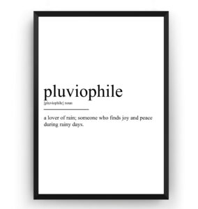 pluviophile definition print - version 2 - poster wall art quote typography home - frame not included