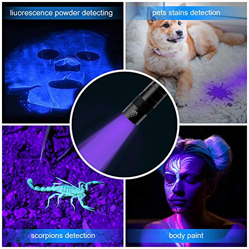 MOLAER UV Black Light Flashlight 2-Pack Mini 395nm Blacklight Pen Light for Leak, Pet Urine, Bed Bug, Scorpion, Hotel Inspection, Dry Stain and Dye Detector