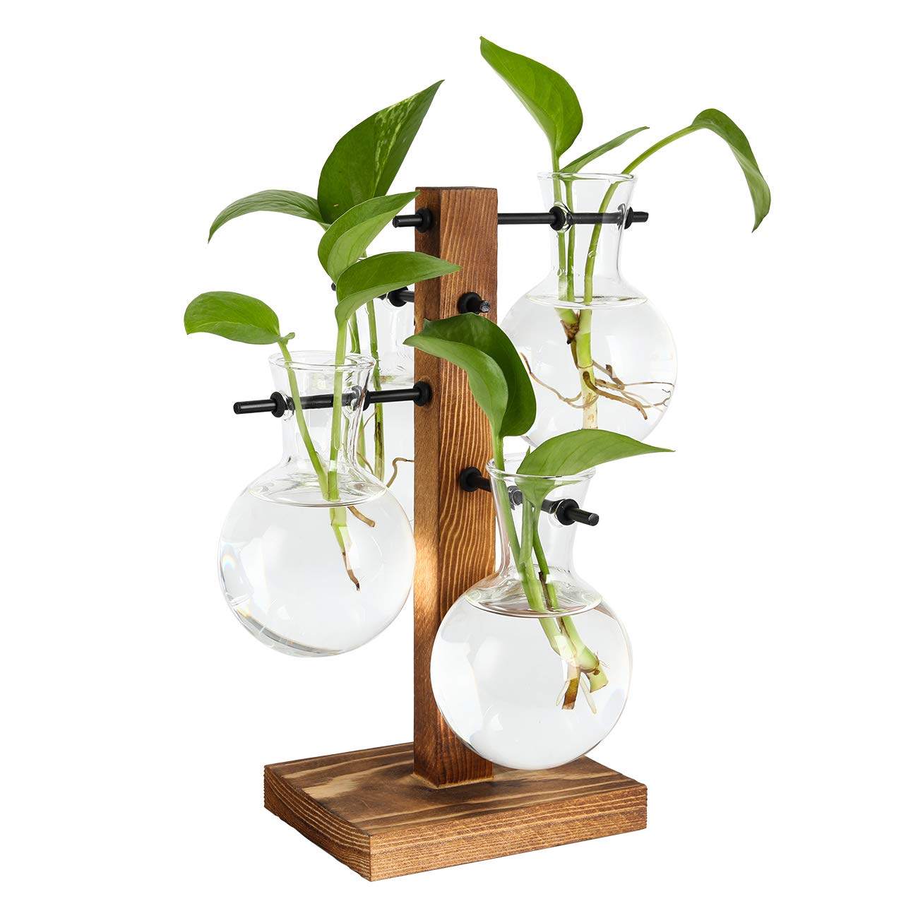 PAG Plant Terrariums Kit Desktop Hydroponics Air Planter Holder with 4 Bulb Beaker Glass Vase and Solid Wood Stand for Home Office Decoration Gift for Women