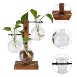 PAG Plant Terrariums Kit Desktop Hydroponics Air Planter Holder with 4 Bulb Beaker Glass Vase and Solid Wood Stand for Home Office Decoration Gift for Women