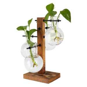 PAG Plant Terrariums Kit Desktop Hydroponics Air Planter Holder with 4 Bulb Beaker Glass Vase and Solid Wood Stand for Home Office Decoration Gift for Women